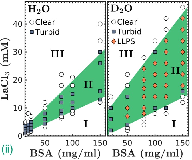 Proteins as Soft Matter: Interactions, Phase Behaviour and Health ...