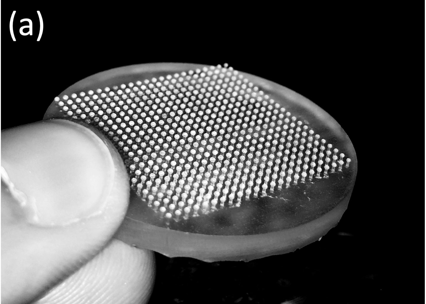 3D Printed Bioinspired Surface Patterning for Soft Robotics